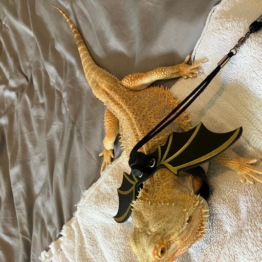 Piano:Battle! Pokemon Wielder Volo(Pokemon Legends: Arceus) - Sheet ...