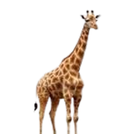 A World Without Mosquitoes || Emotional Piano Solo - Sheet music for Piano